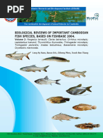 African Catfish Taxonomy Overview | PDF | Fish | Aquatic Animals