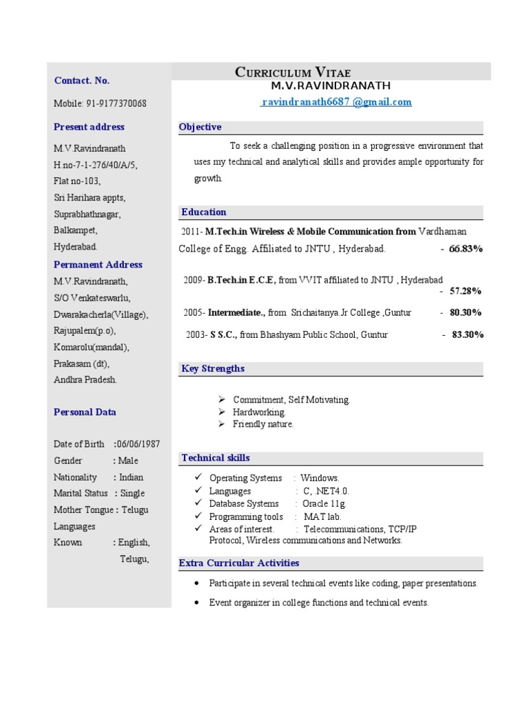 Ravi | PDF | Art | Computers