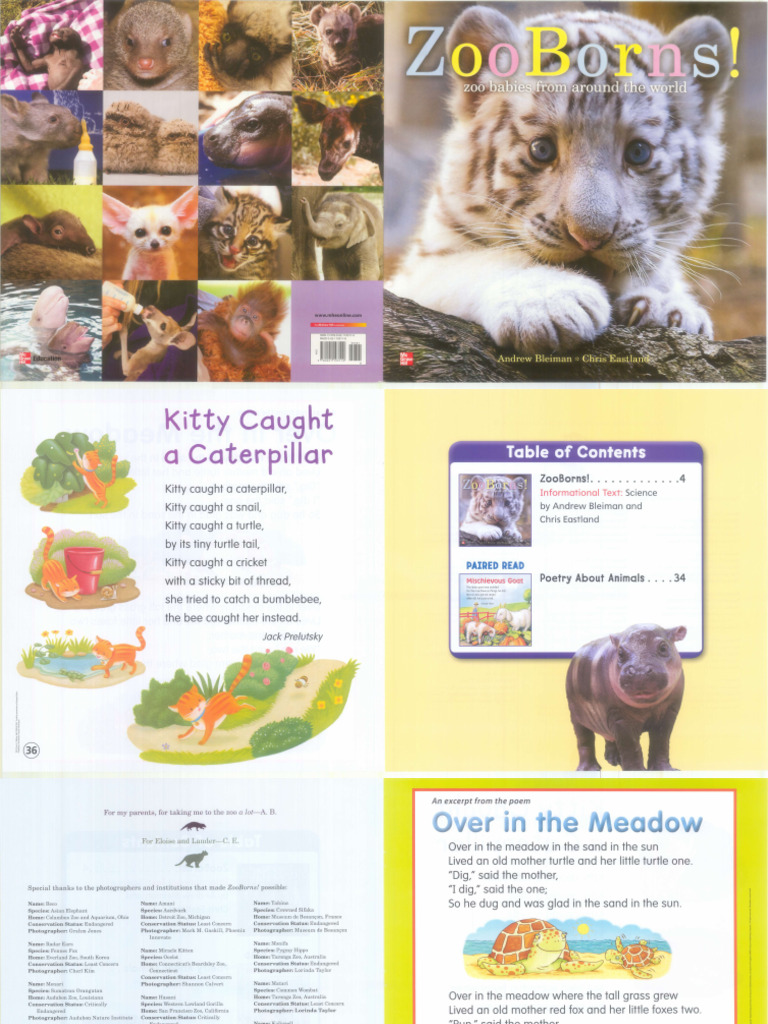 Zoo Borns - CompressPdf | PDF