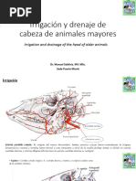 Reflejo de Flehmen en Animales | PDF | Biología