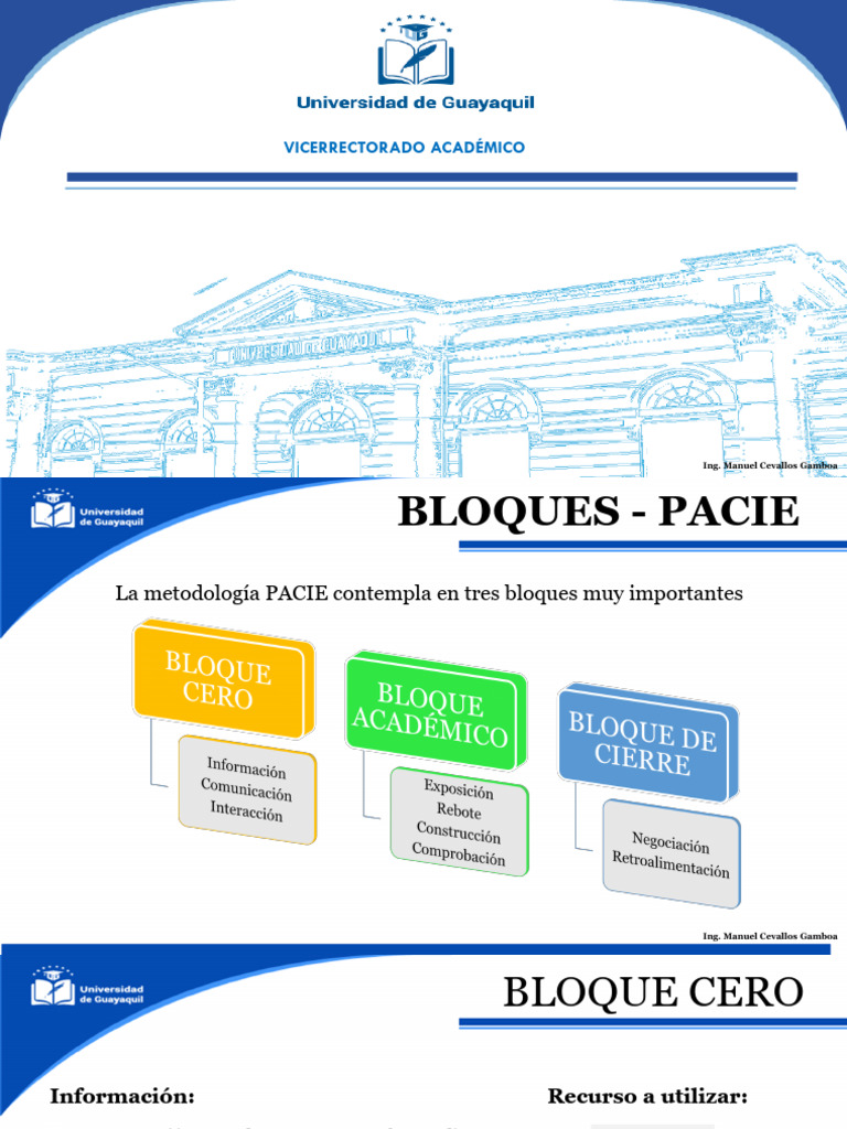 Estructura Del Modelo PACIE | PDF