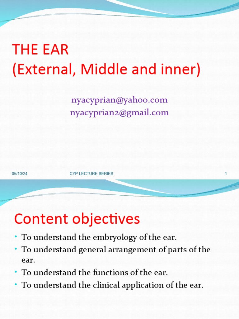 The Ear Complete | PDF | Ear | Human Head And Neck