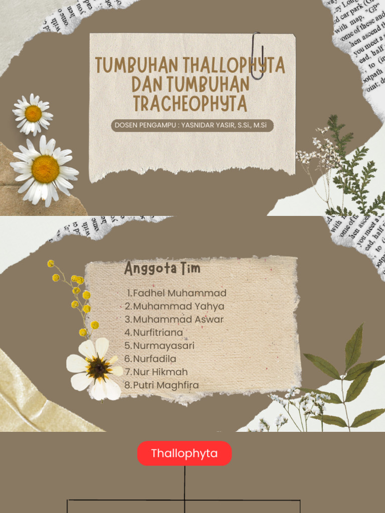 Tumbuhan Thallophyta dan Tracheophyta | PDF