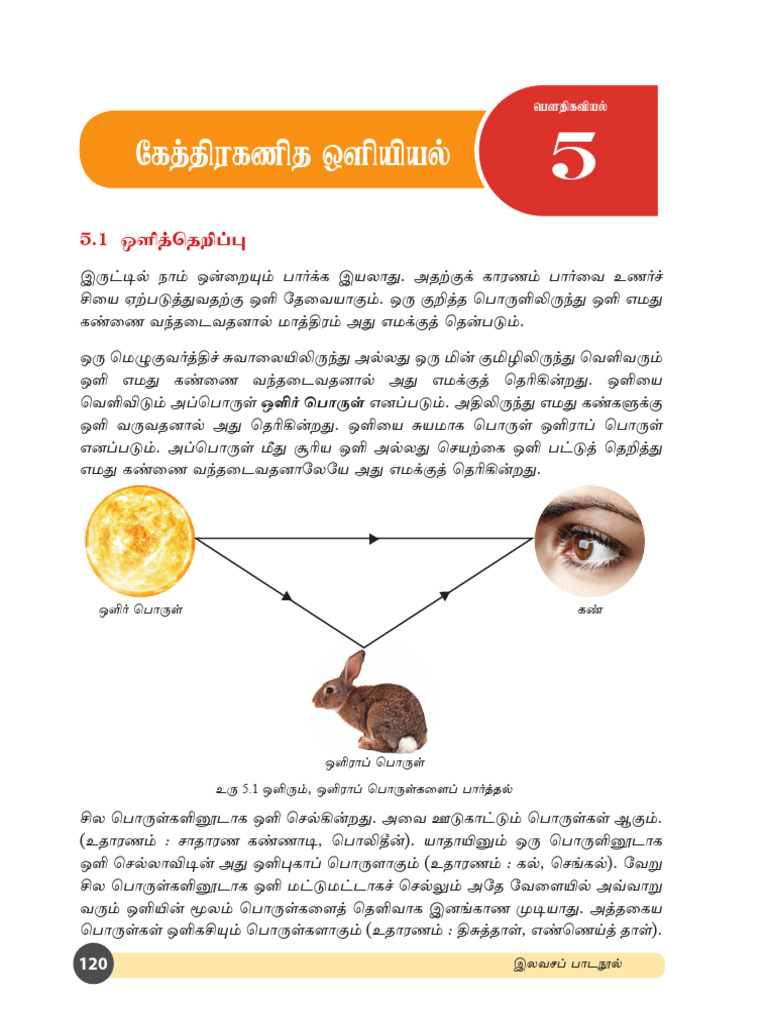 Tg11 Sci New Chap5 | PDF