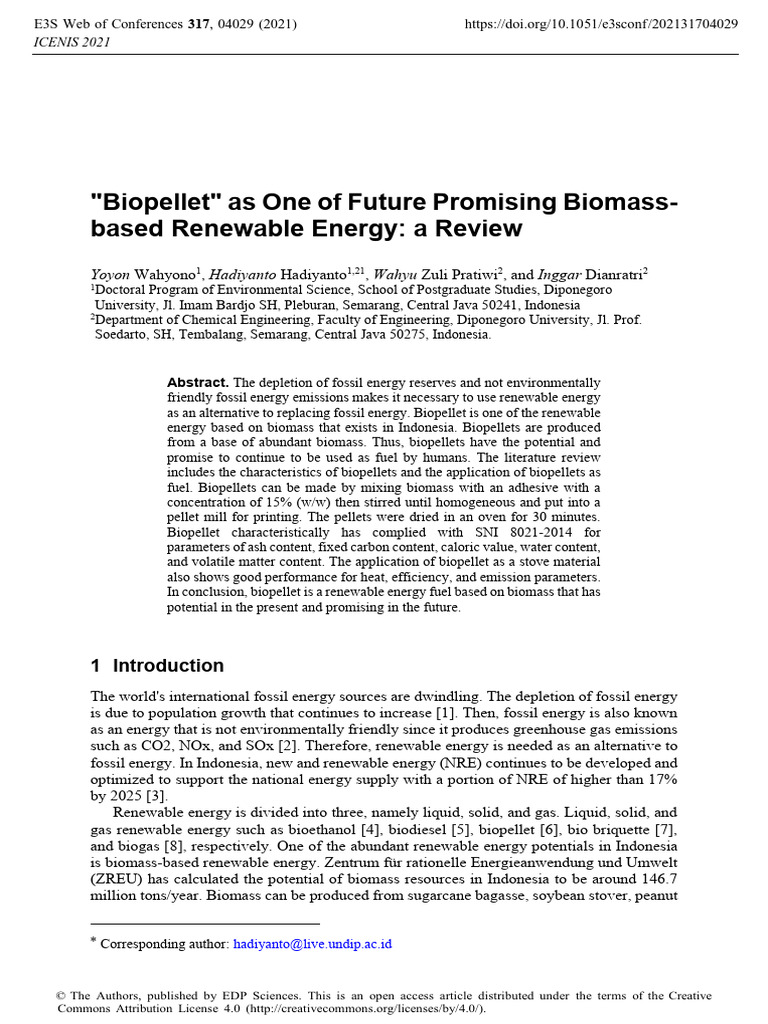 Biopellet As One of Future Promising Biomassbased | PDF | Renewable ...