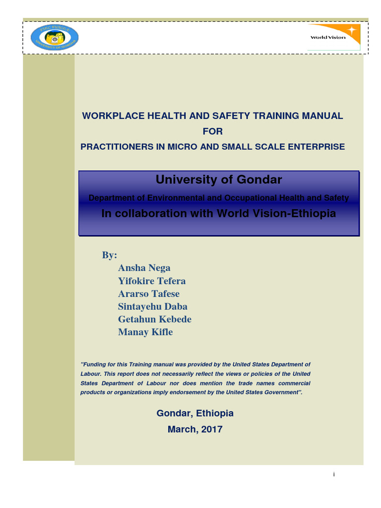 Workplace Health and Safety TOT Manual For Micro Enterpris | Download Free PDF | Occupational ...