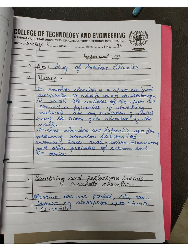 Micro File Handwritten | PDF