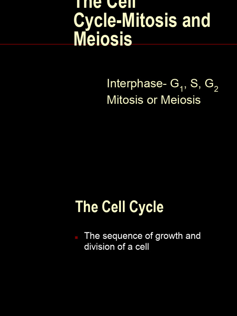 Mitosis and Meiosis Overview | PDF | Meiosis | Mitosis