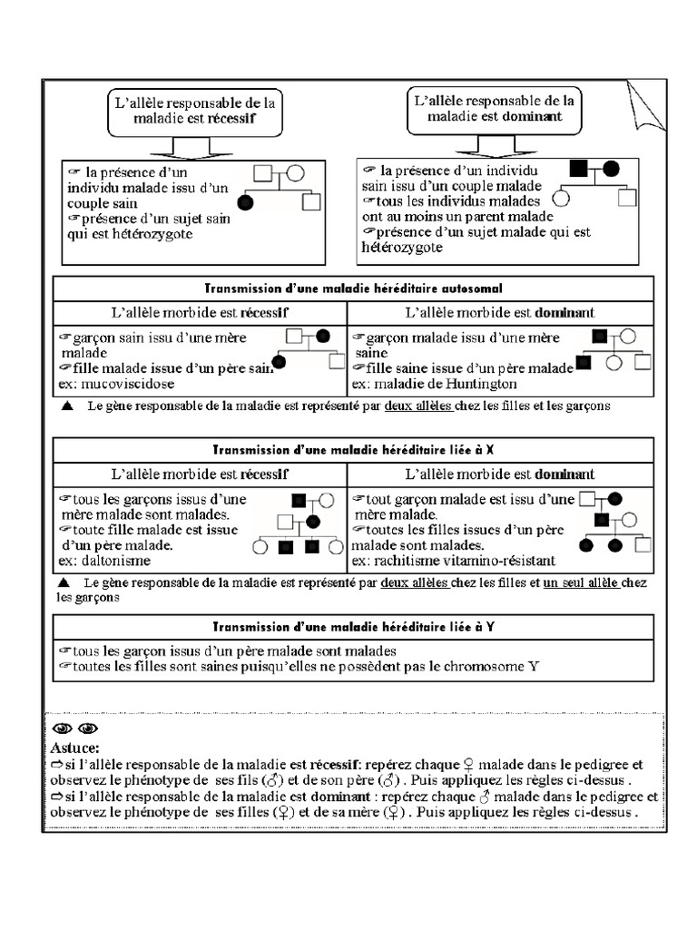 résumé de la génétique humaine | PDF