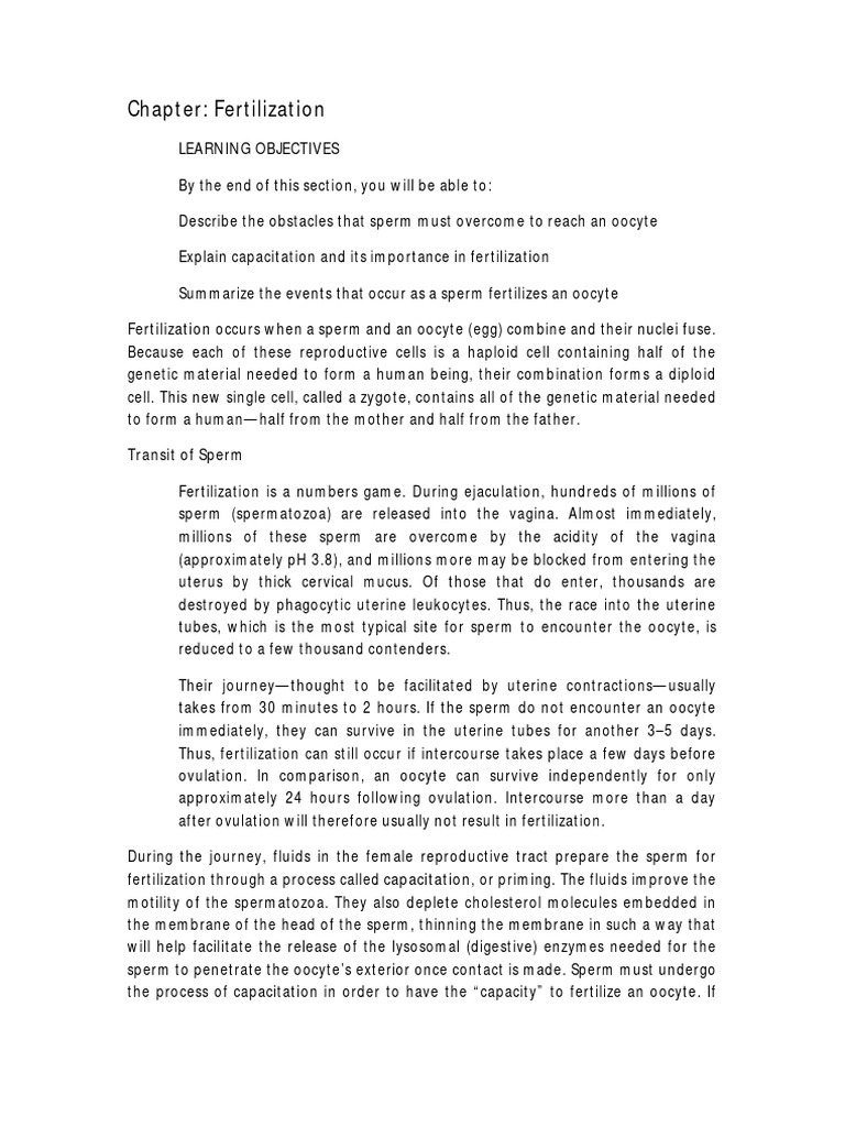Chapter Fertilization | PDF | Twin | Fertilisation