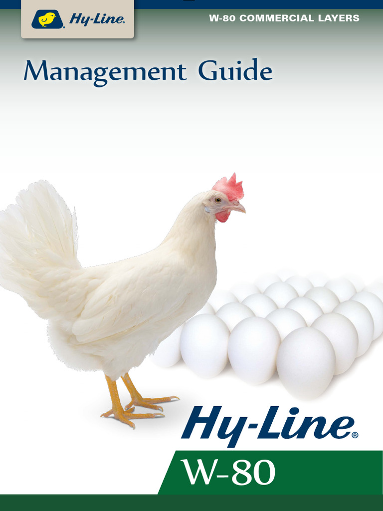 1632414147-w80 Management Guide | PDF | Nutrition | Diet & Nutrition
