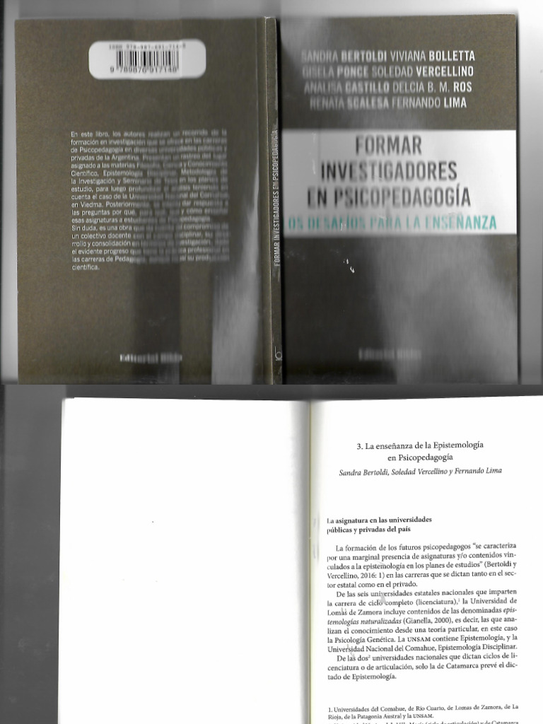 Complementario 2. Bertoldi, Lima, Vercellino (2018) | PDF