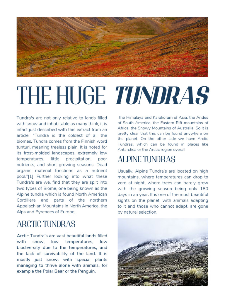 Adapting Life in Tundra Biomes | PDF | Physical Geography | Earth Sciences
