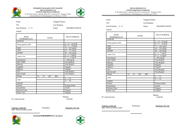 Blanko Hasil Lab 2024 | PDF