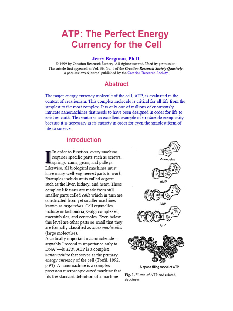 ATP: The Perfect Energy Currency For The Cell: Jerry Bergman, PH.D ...