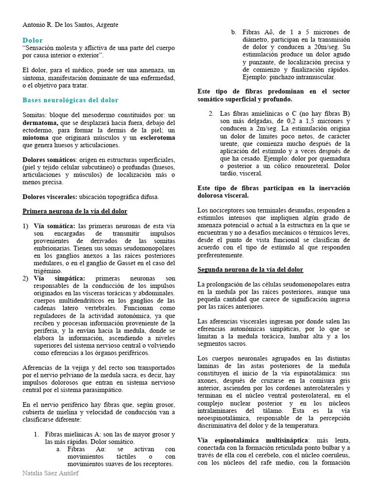 Copia de Dolor Argente | PDF | Dolor | Médula espinal