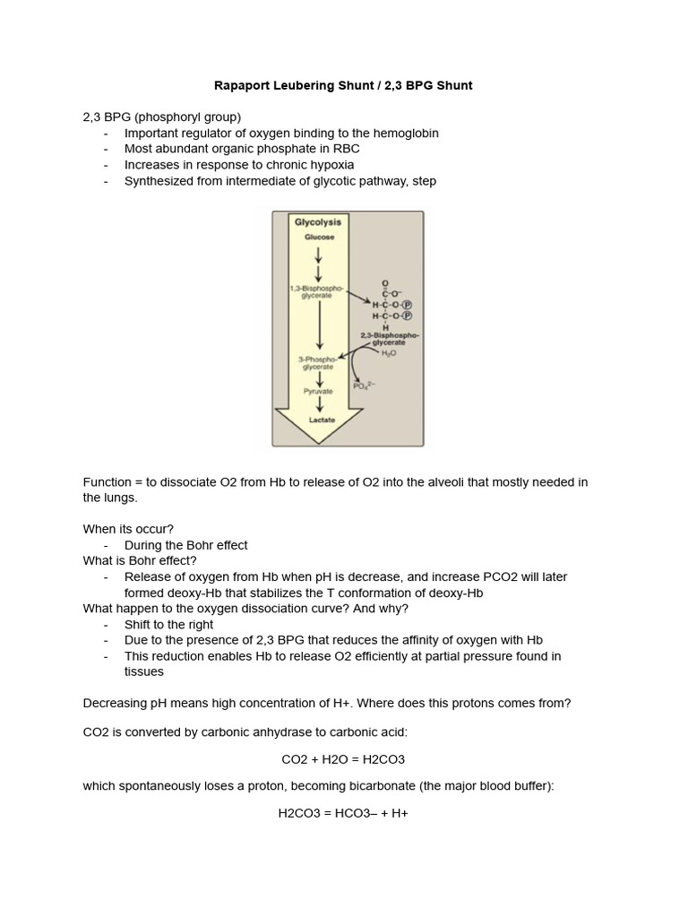 Understanding the Rapaport Leubering Cycle | PDF | Science ...