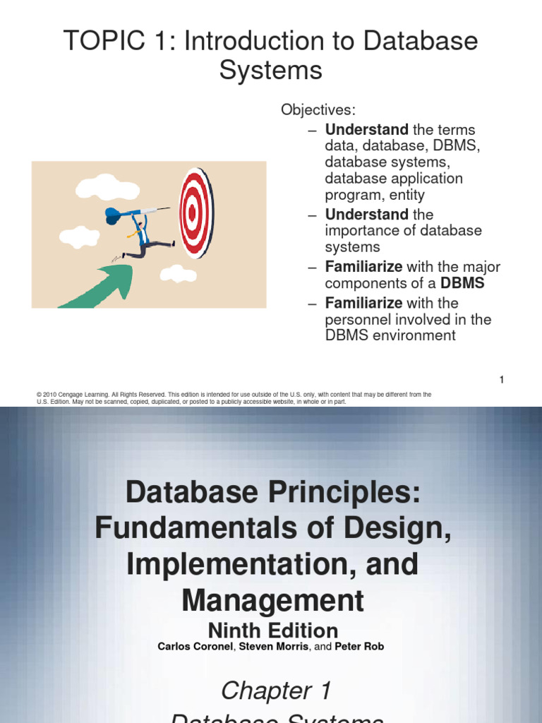 Chapter 1 Database Systems | PDF | Databases | Data Model