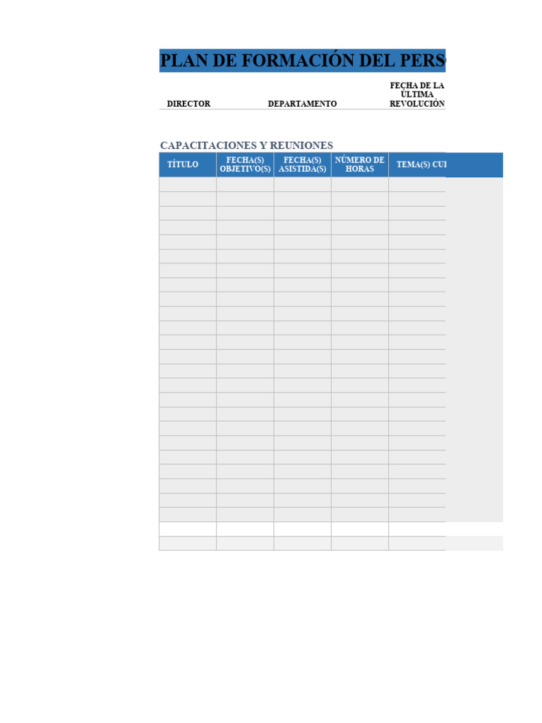 Formato Capacitaciones | PDF