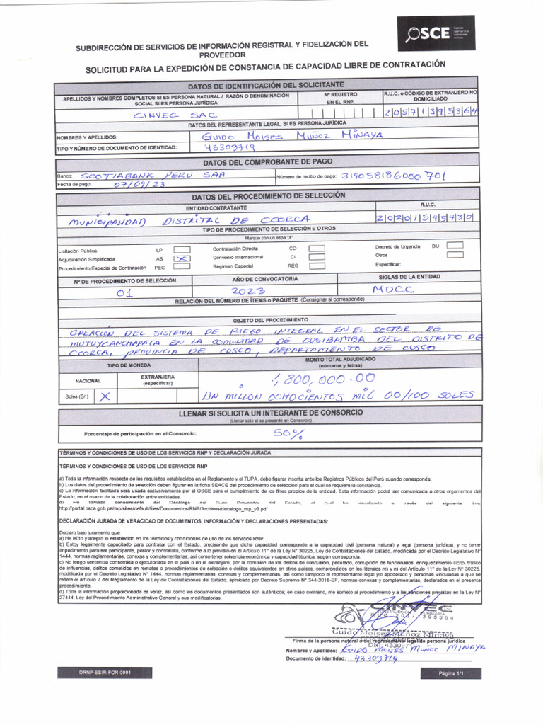 Modelo Formulario | PDF