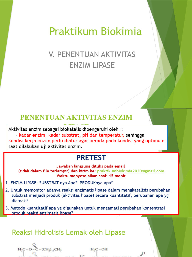 Praktikum Biokimia (Aktivitas Enzim Lipase) | PDF