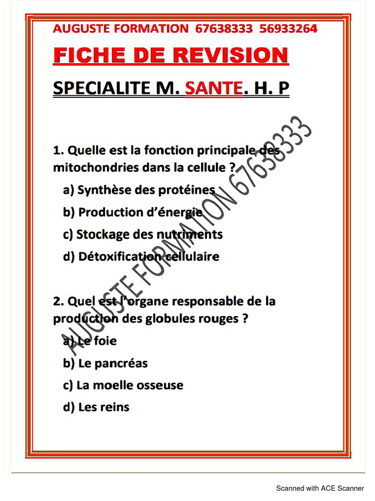 ACE Scanner Document Overview | PDF
