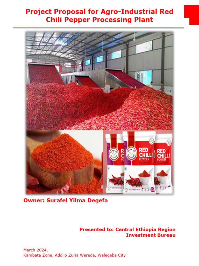 Red Chili Pepper Processing Plant Proposal | PDF | Internal Rate Of ...