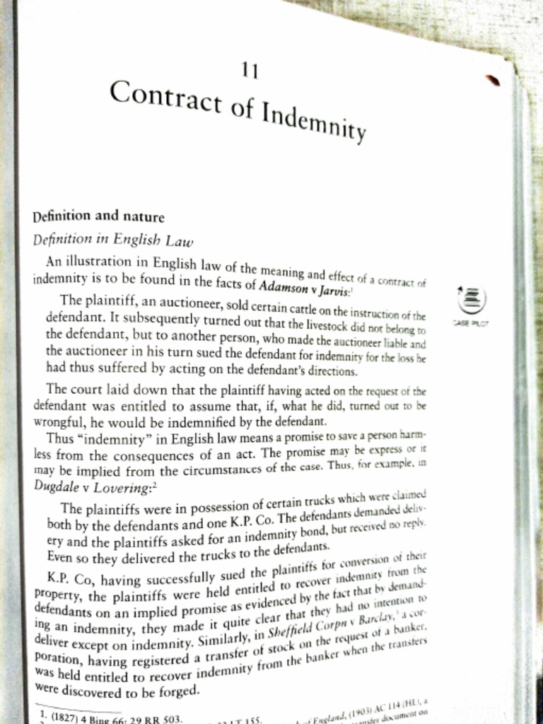 Indemnity | PDF