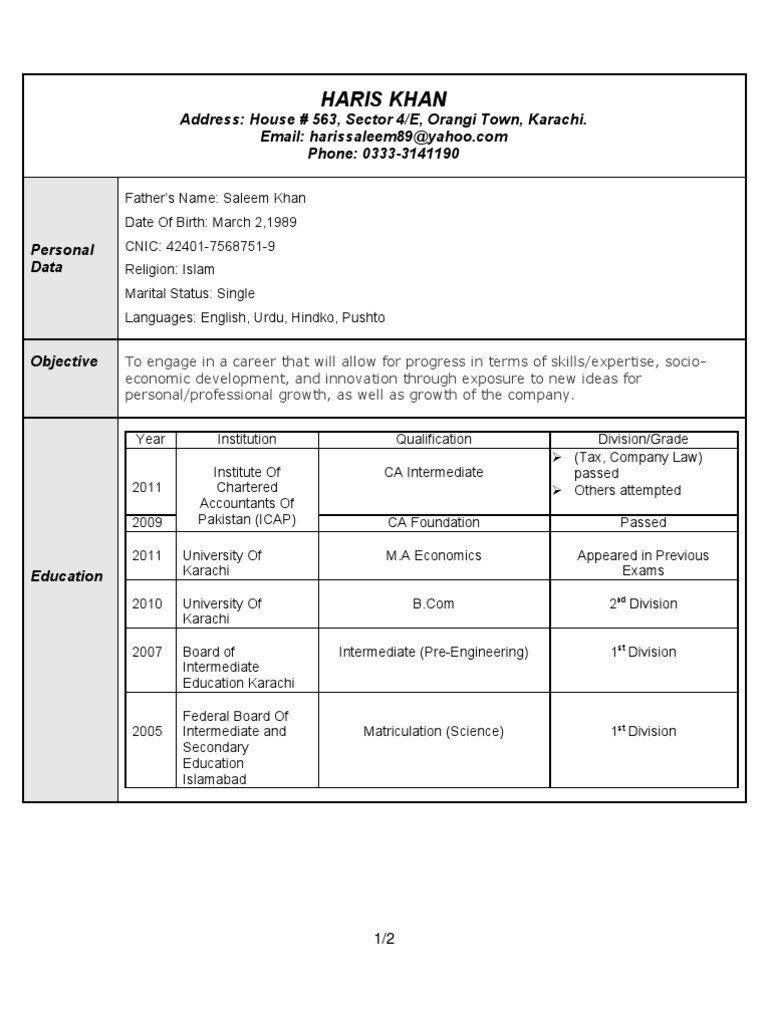 Aspiring Accountant's Profile | PDF | Career & Growth