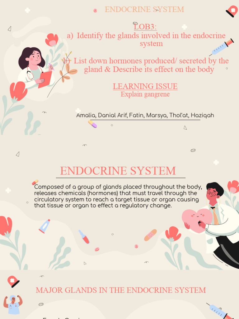 Overview of the Endocrine System | PDF | Adrenal Gland | Human Body