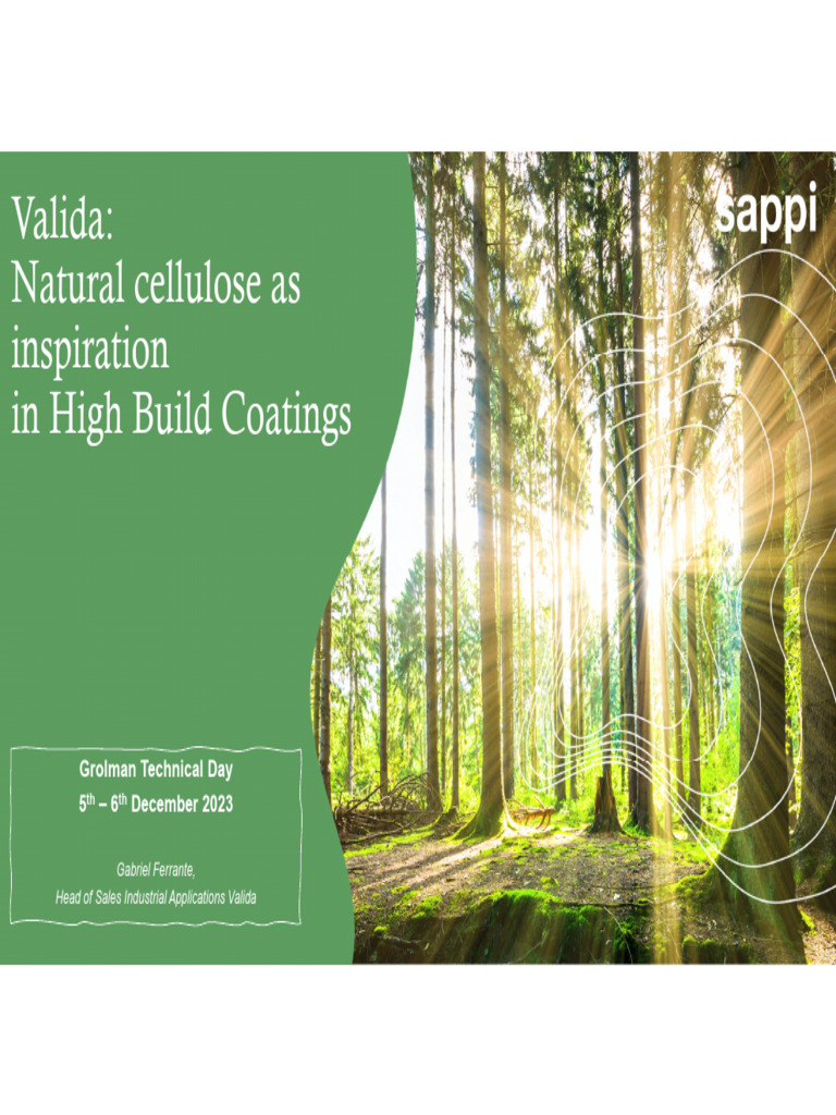 8 - Valida Natural Cellulose As A Source of Inspiration in Waterborne ...