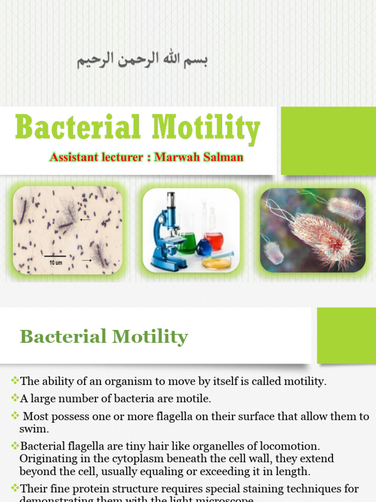 Bacterial Motility .... | PDF | Bacteria | Staining