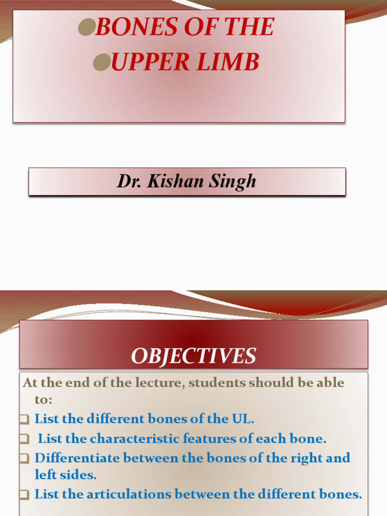 L1-Bones of Upper Limb.ppt | PDF | Hand | Limbs (Anatomy)