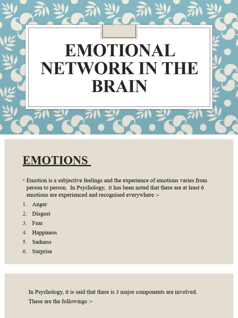 Emotional Network in The Brain | PDF | Emotions | Brain
