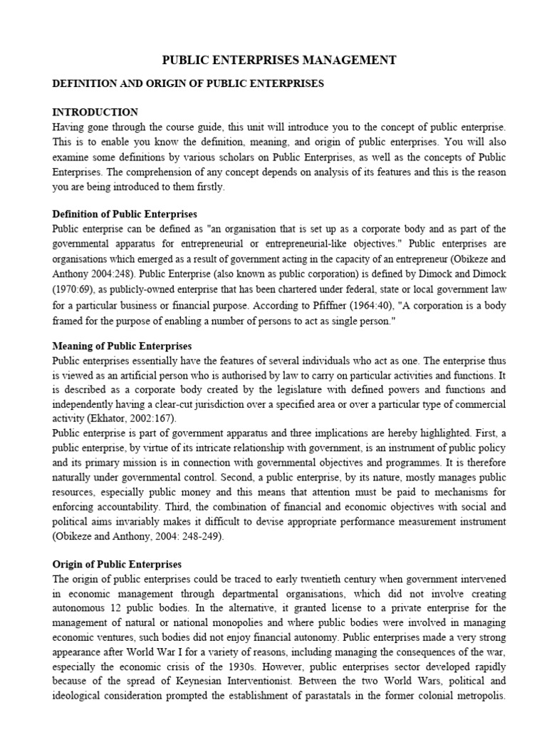 Understanding Public Enterprises Management | PDF | State Owned ...