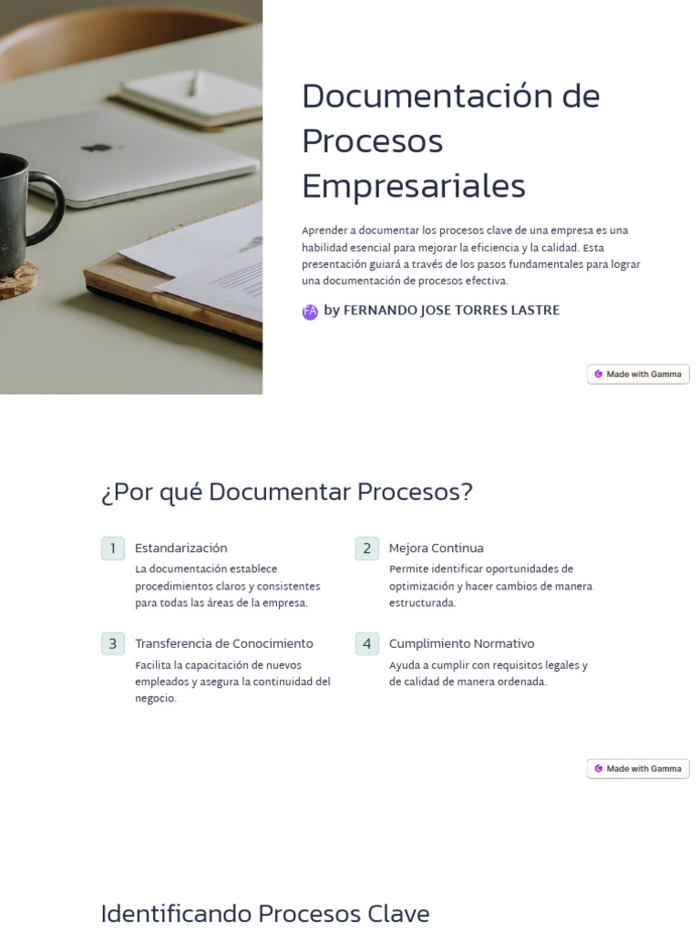 Documentacion de Procesos Empresariales | PDF | Business | Informática