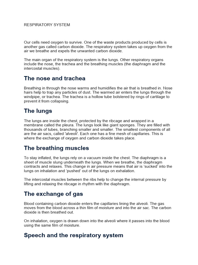 Respiratory System Pdf Respiratory Tract Respiratory System