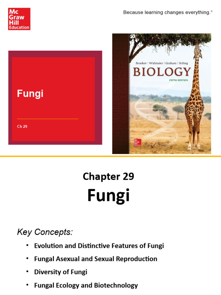Lecture 06 Fungi Brooker Biology 5ed Ch29 Lecture An | PDF | Fungus ...