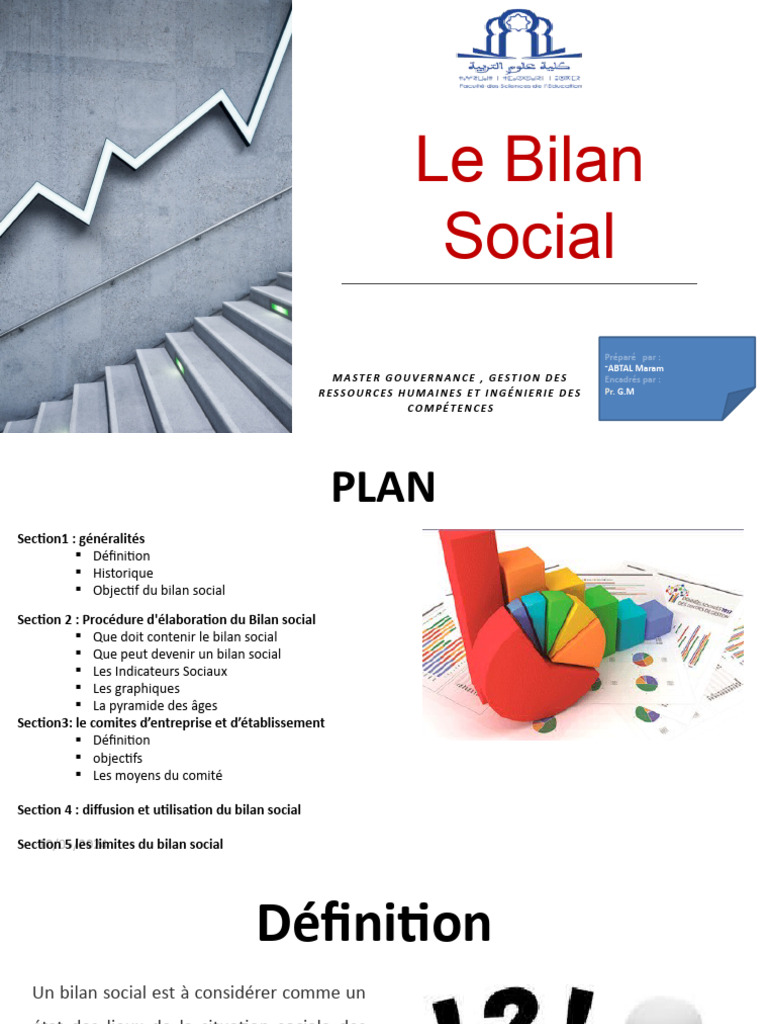 Le Bilan Social V finale | PDF | Gestion des ressources humaines | Business