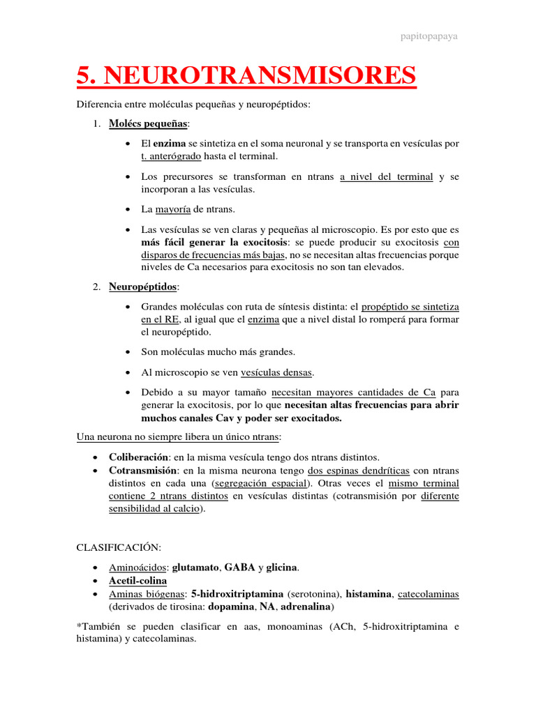 Wuolah Free 5. Neurotransmisores Gulag Free | PDF | Receptor Nmda | Dopamina