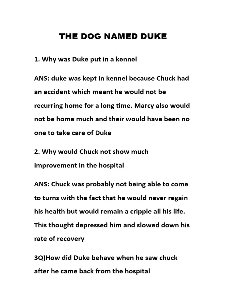 THE DOG NAMED DUKE Story | PDF | Language Arts & Discipline | Art