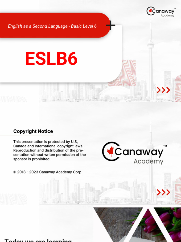 Writing Paragraphs for ESL Learners | PDF | Paragraph | Human Communication