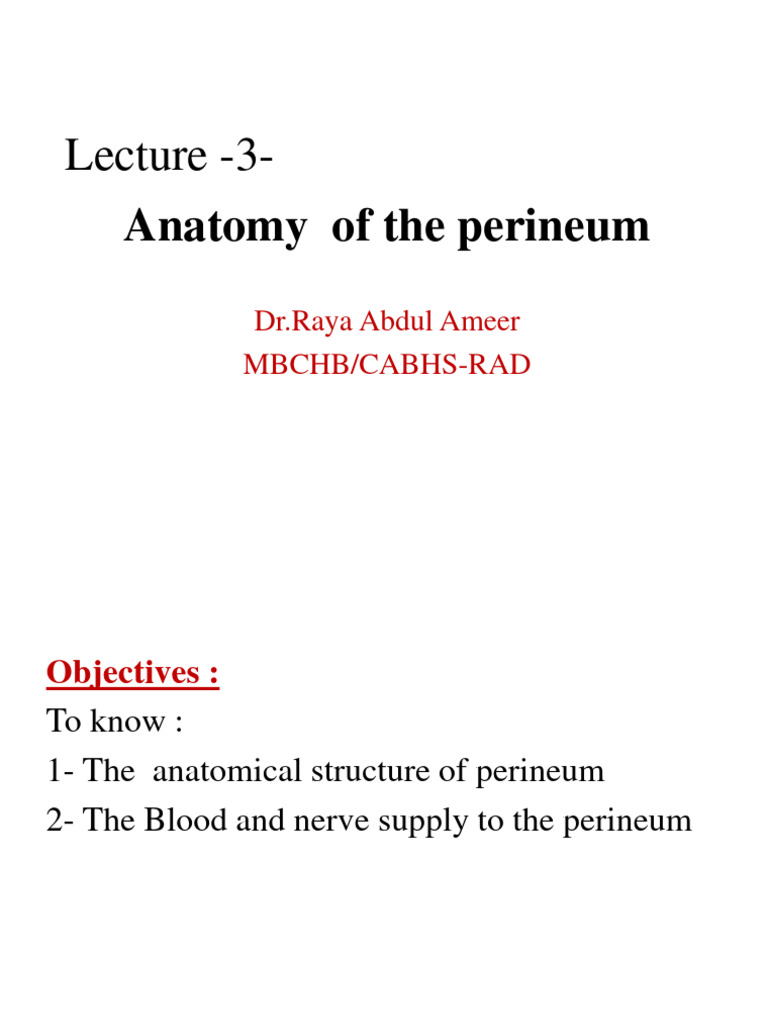 Ana-Dr. Khaled-Pelvis-Lec 3تم | PDF | Pelvis | Anatomy