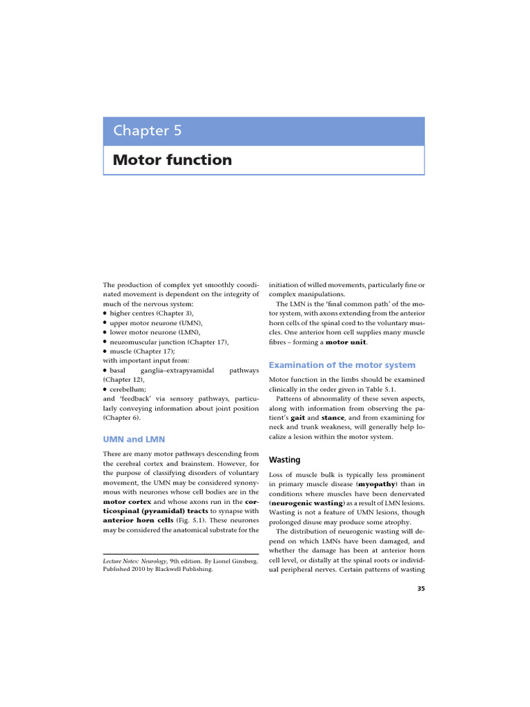 LMN Umn | PDF | Motor Neuron | Anatomical Terms Of Motion