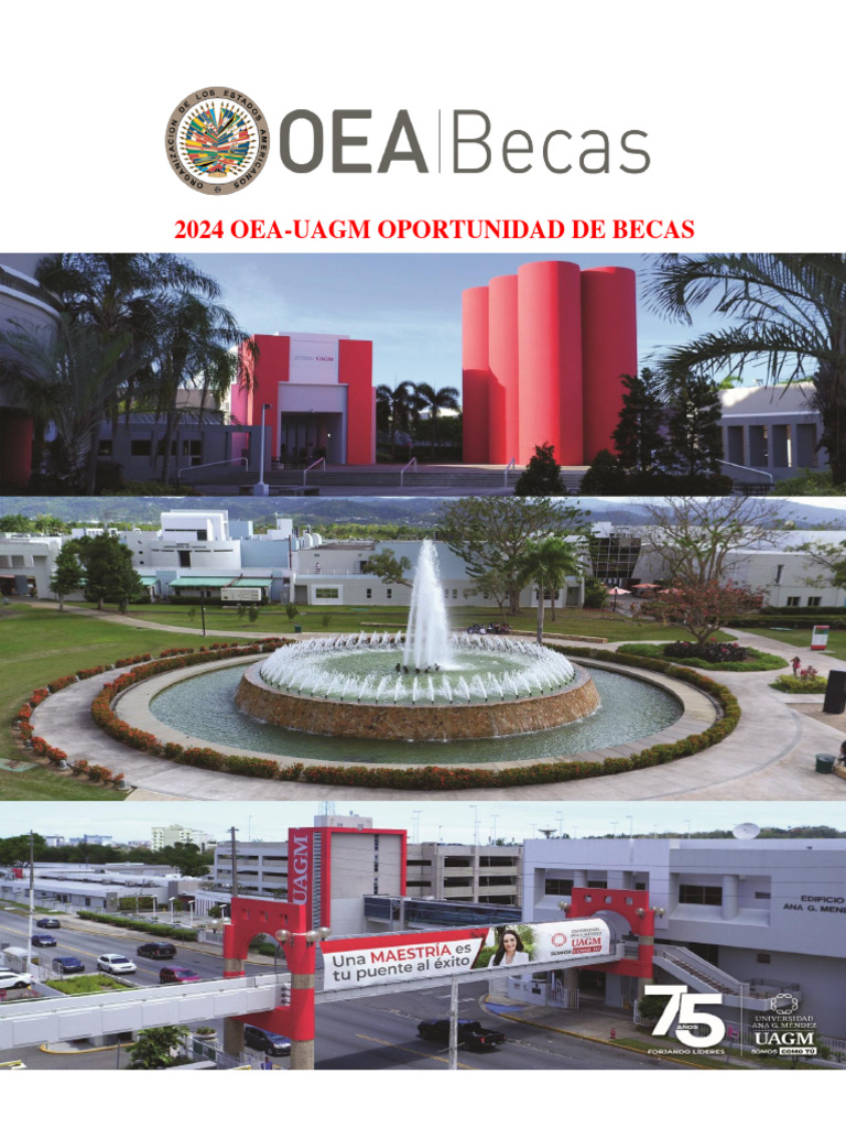 Informacion Del Programa | PDF | Puerto Rico