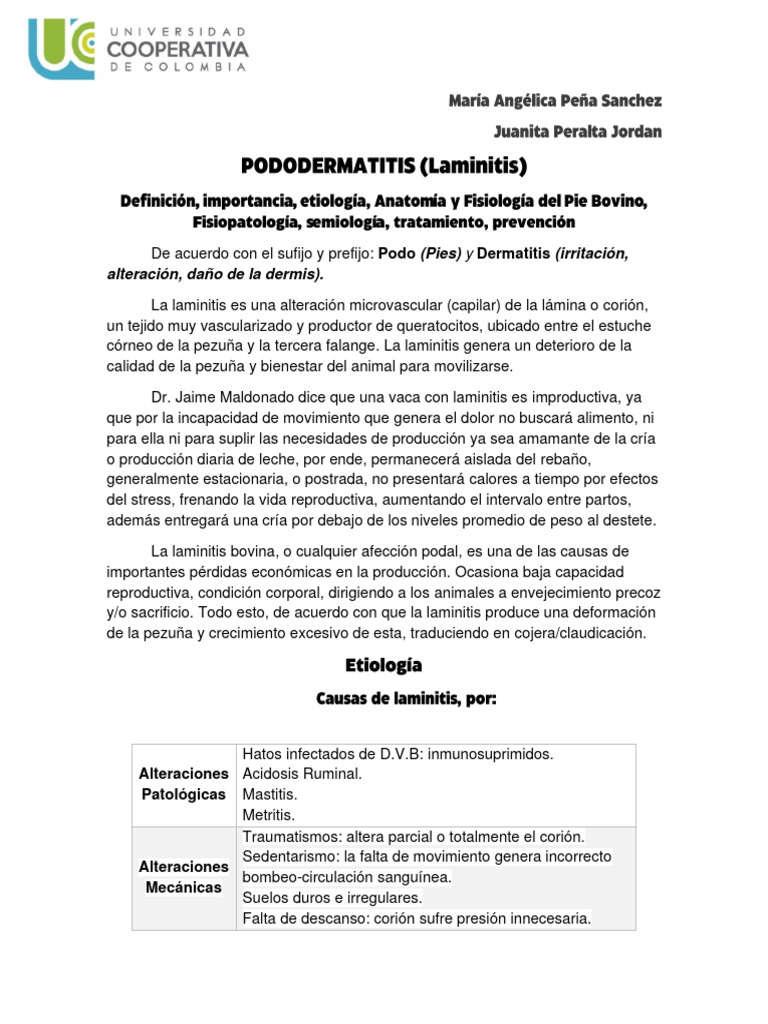 Pododermatitis (Laminitis) | PDF | Epidermis