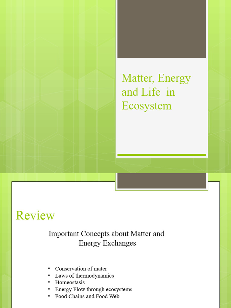 Matter, Energy and Life in Ecosystem and Biomes | PDF | Ecosystem ...
