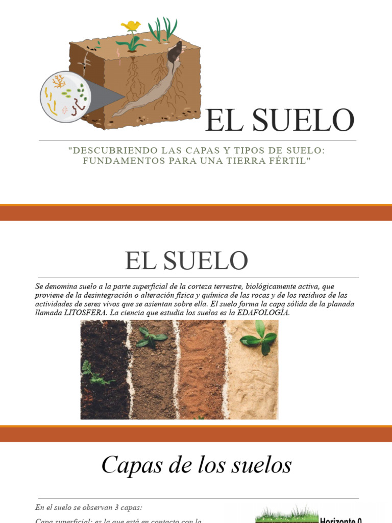 Capas y Tipos de Suelo | PDF | Hogar, jardinería y bricolaje | Ciencia ...