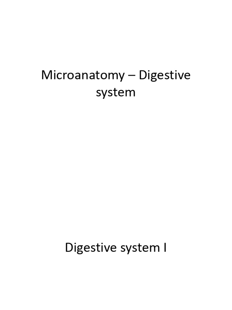 Microanatomy - Digestive System | PDF | Stomach | Tongue