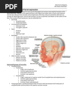 Anatomy and Structure of Lips | PDF | Lip | Human Anatomy